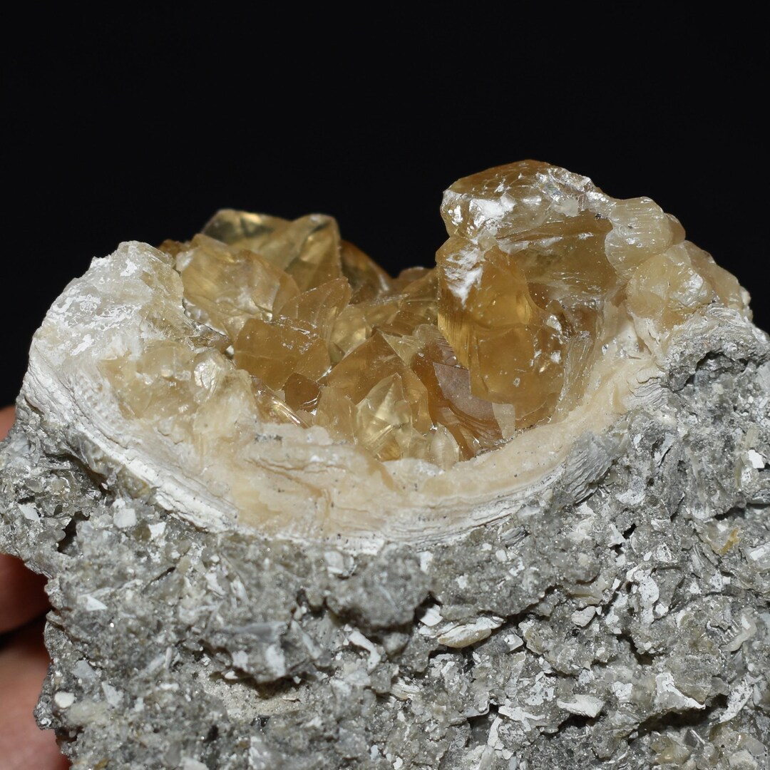 Bargain Fossilized Clam Section With Honey Calcite Crystals in Matrix ...