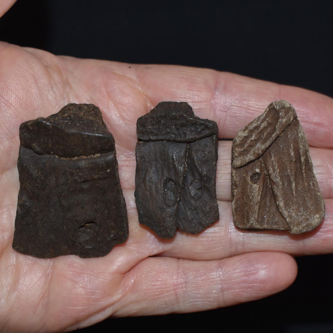 Three Detailed Fossilized Turtle Shell Peripheral Elements (shell Edge ...