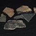 Great Highly Detailed Set of Six Fossilized Soft-shelled Turtle Shell ...