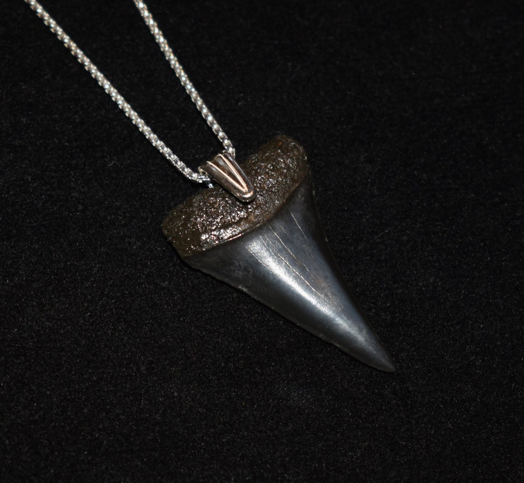 Fossilized Giant Mako Shark Tooth 1 1/4 on a Sterling Silver Chain - Etsy