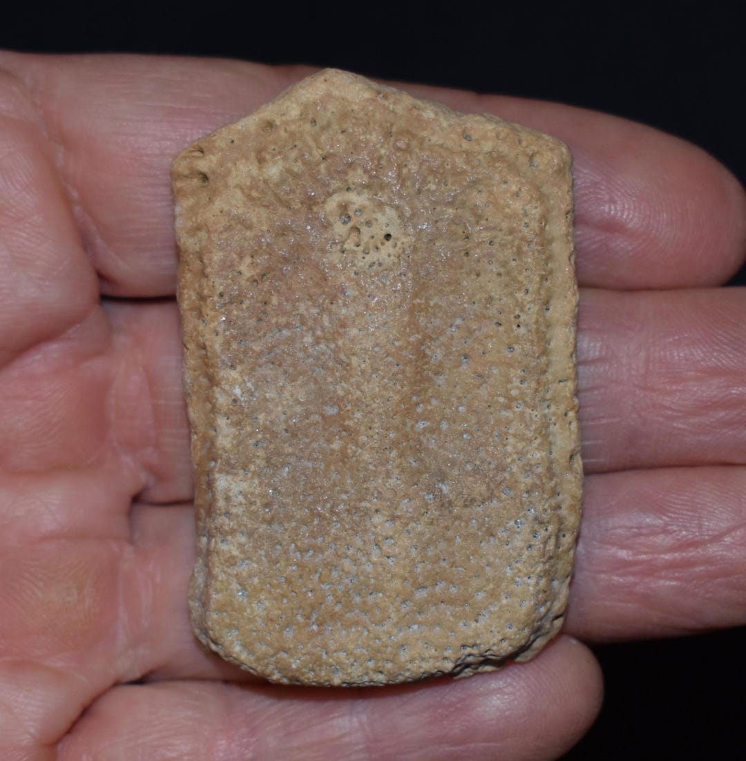 Beautiful Unique Tan Color Fossilized Giant Armadillo Scute ...