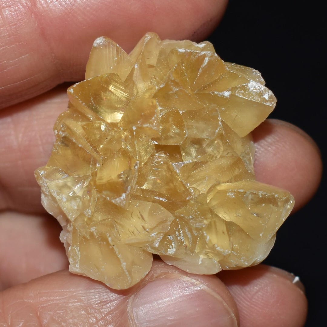 Honey Calcite Crystals Formed in an Ancient Clam Fossil - Florida - Etsy