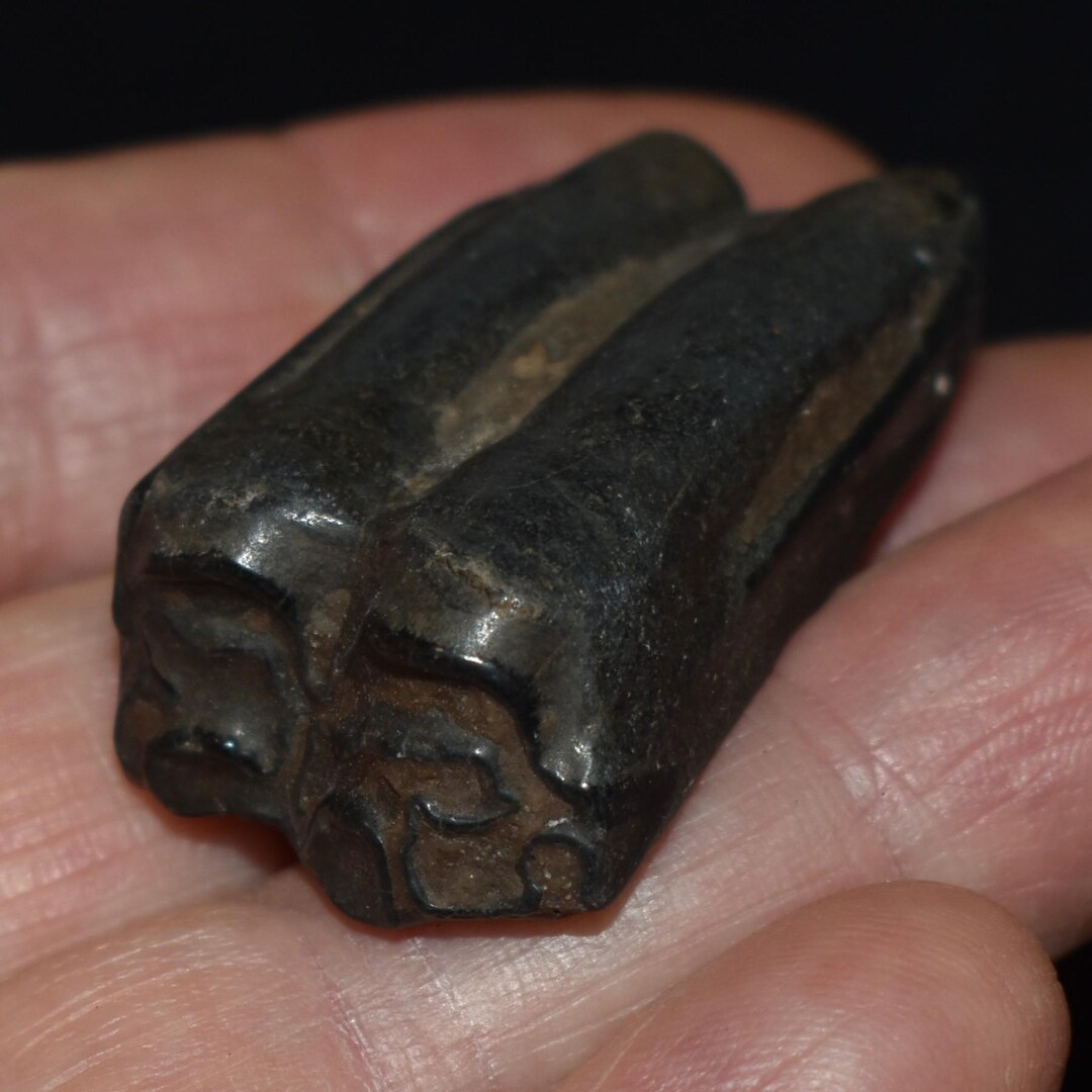 Excellent Small Fossilized Pleistocene Equus Horse Tooth 10,000 - 1.8 ...