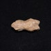 Excellent Fossilized Turtle Toe Bone Pleistocene 10000 24 - Etsy