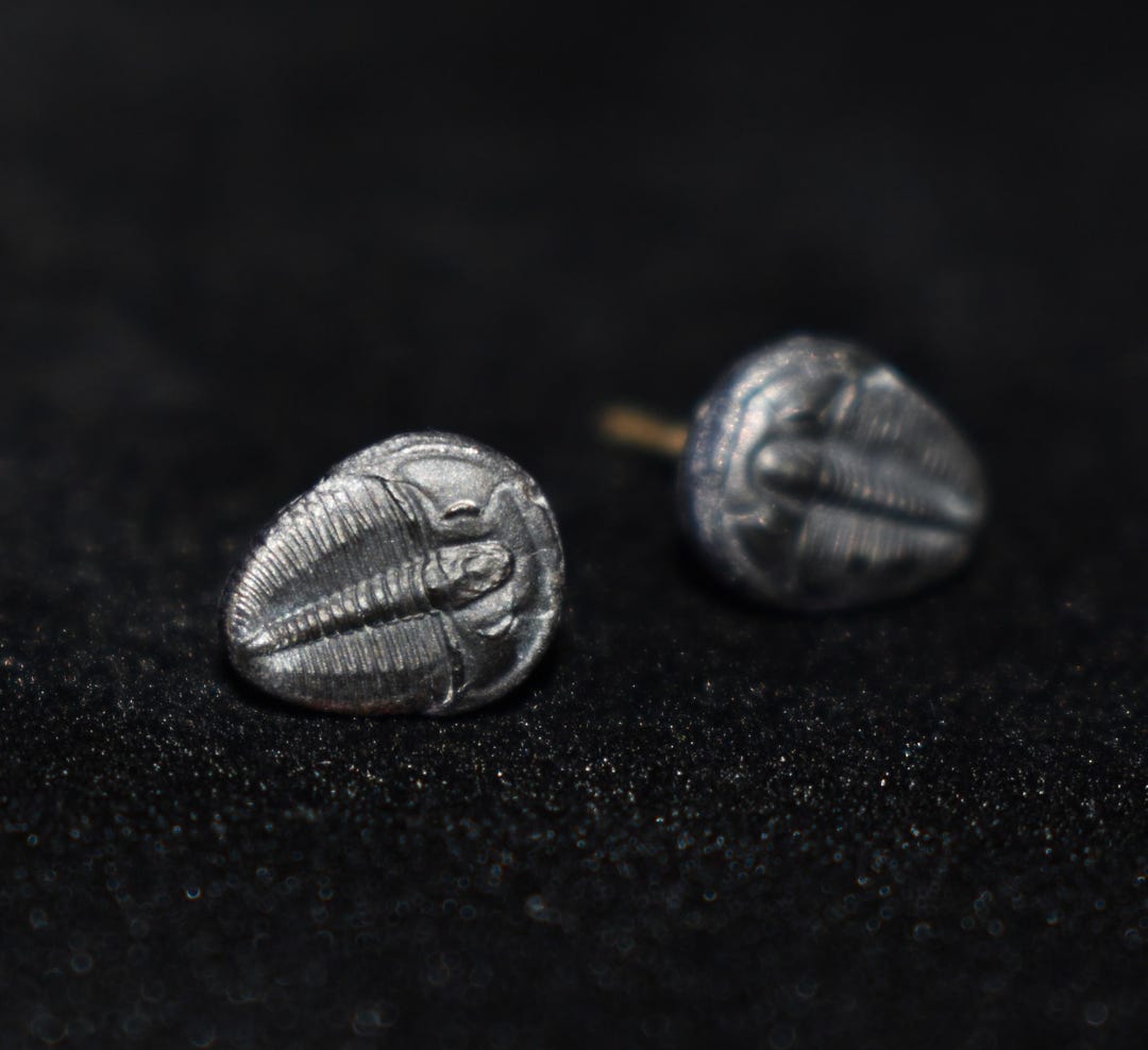 Beautiful Mini Trilobite Earrings With Sterling Silver Posts - Etsy