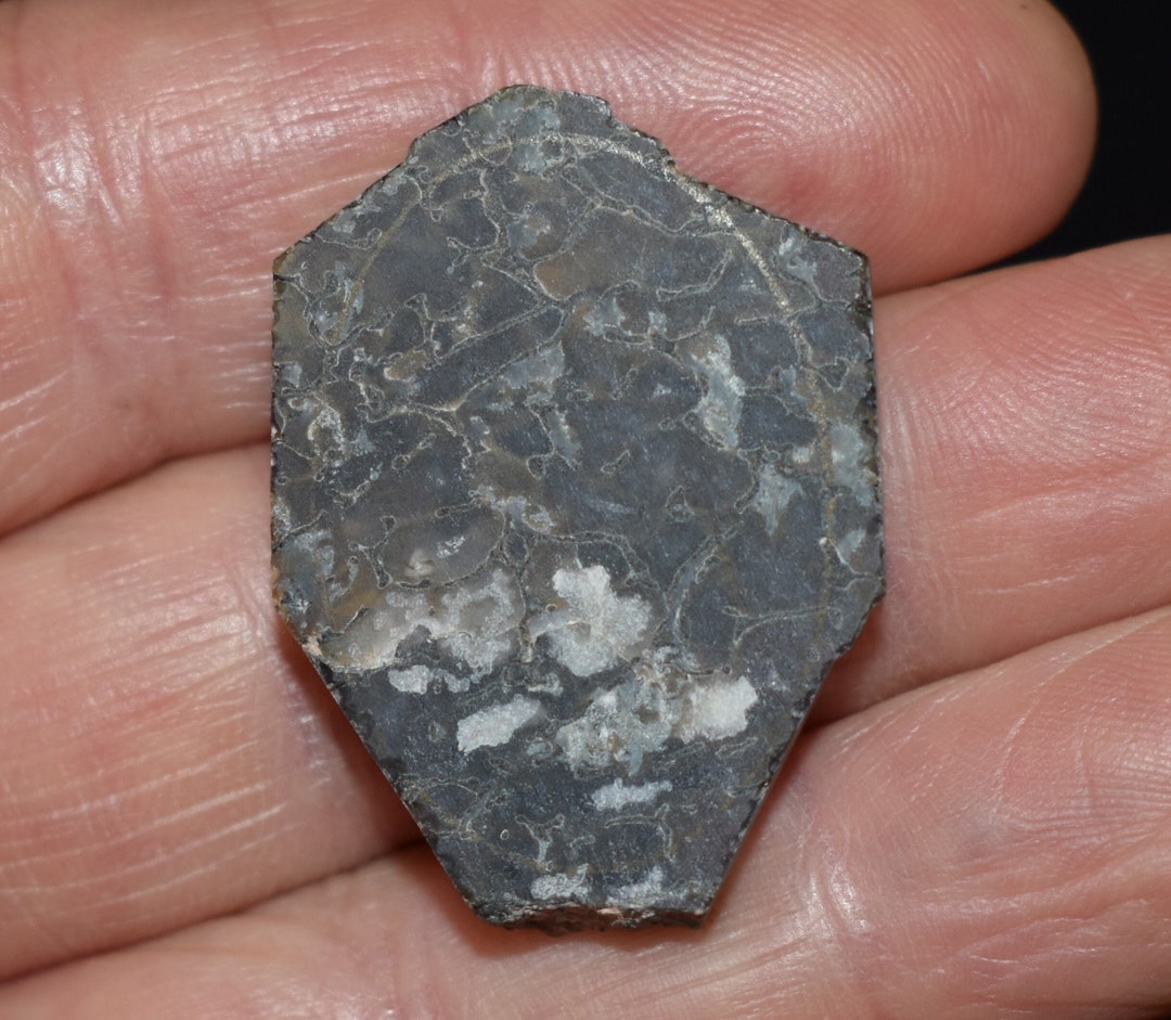 Beautiful Gem Quality Dinosaur Bone Cab Preform - Jurassic Period 145 ...