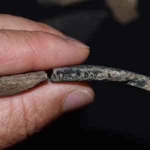 Great Highly Detailed Set of Six Fossilized Soft-shelled Turtle Shell ...