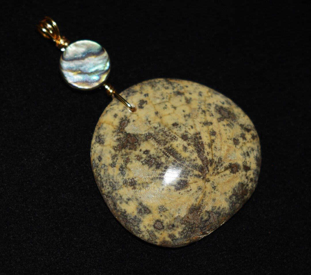 Sand Dollar Pendant Only- Fossilized From California With Abalone Shell ...