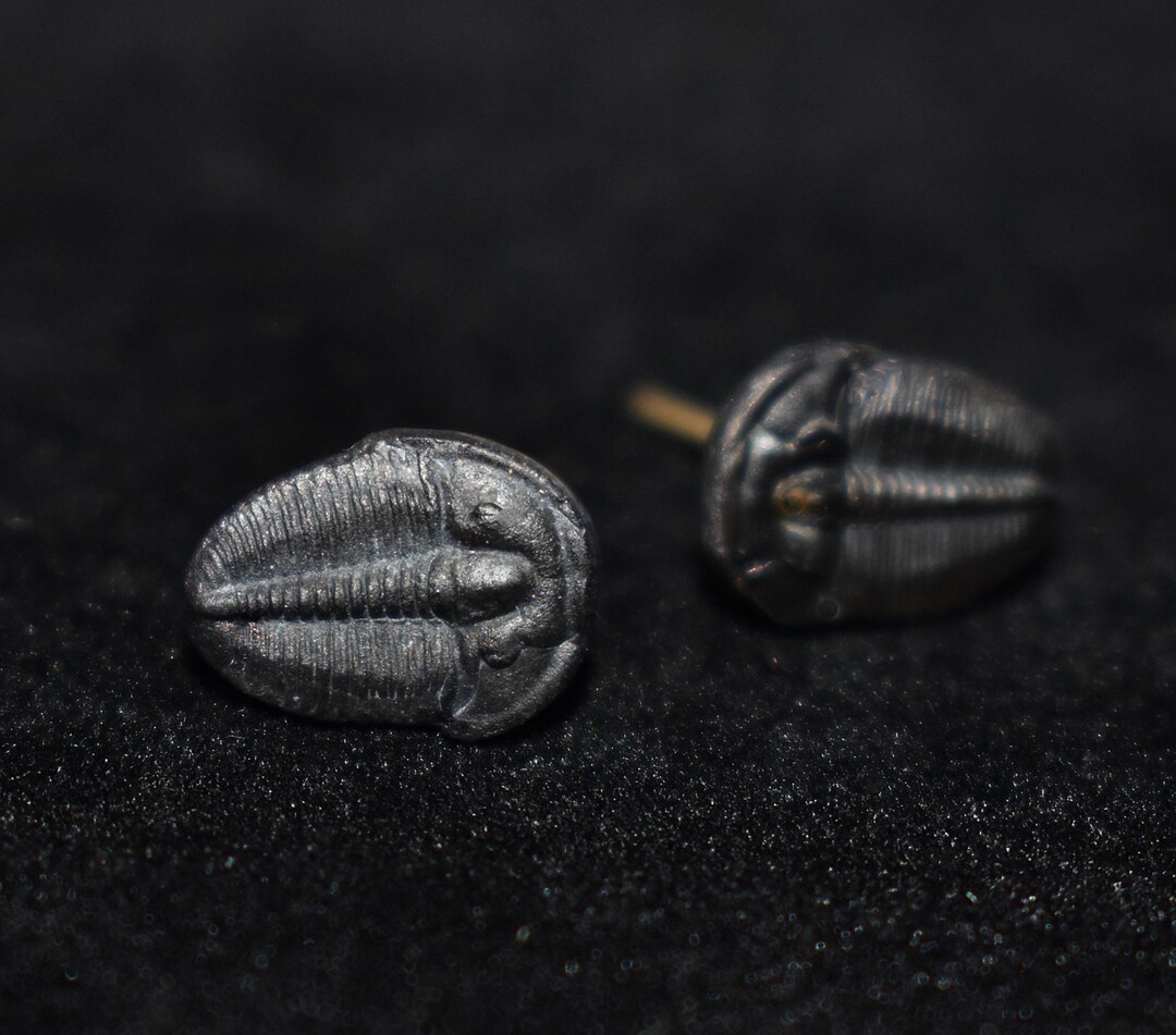 Beautiful Mini Trilobite Earrings With Sterling Silver Posts - Etsy