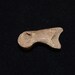 Excellent Fossilized Turtle Toe Bone Pleistocene 10000 24 - Etsy