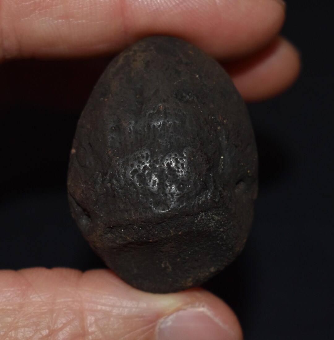 Great Fossilized Claw Core/ Toe From an Extinct Giant Tortoise ...