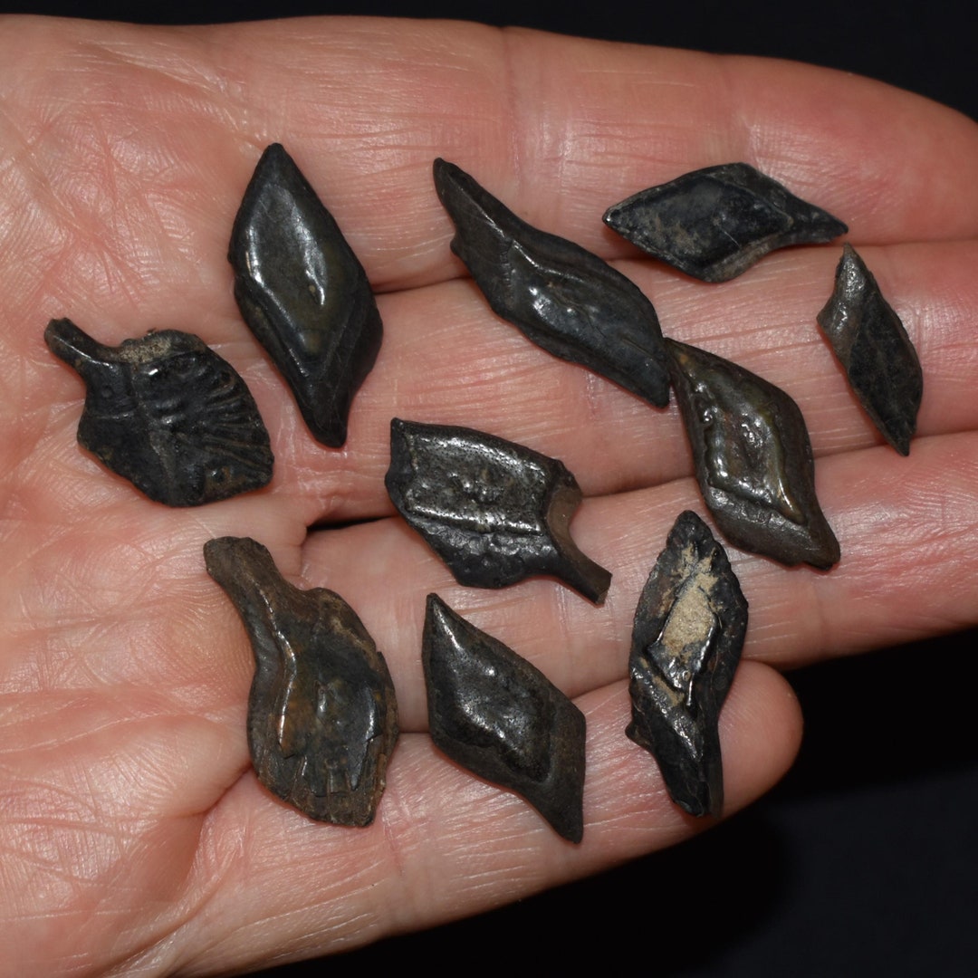 Beautiful Set of 10 Small to Medium Sized Fossilized Gar Fish Scales ...