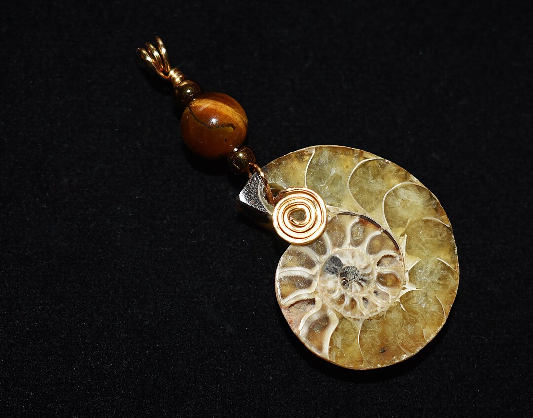 Unique Ammonite Pendant With Wire Design - Etsy