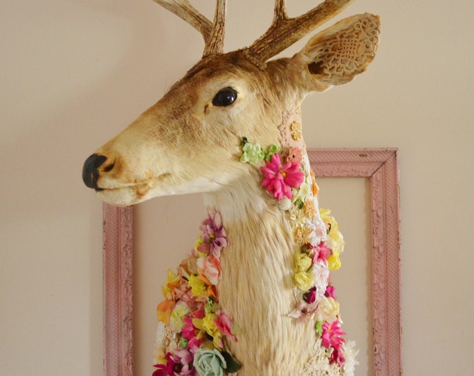 I Am Sundance the Whitetail Deer One of a Kind Embellished Taxidermy ...