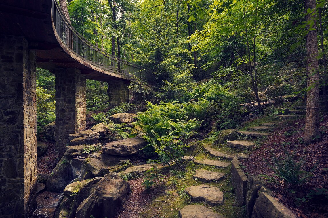 A Bridge and Pathway - Digital Photography - Professional Photo ...