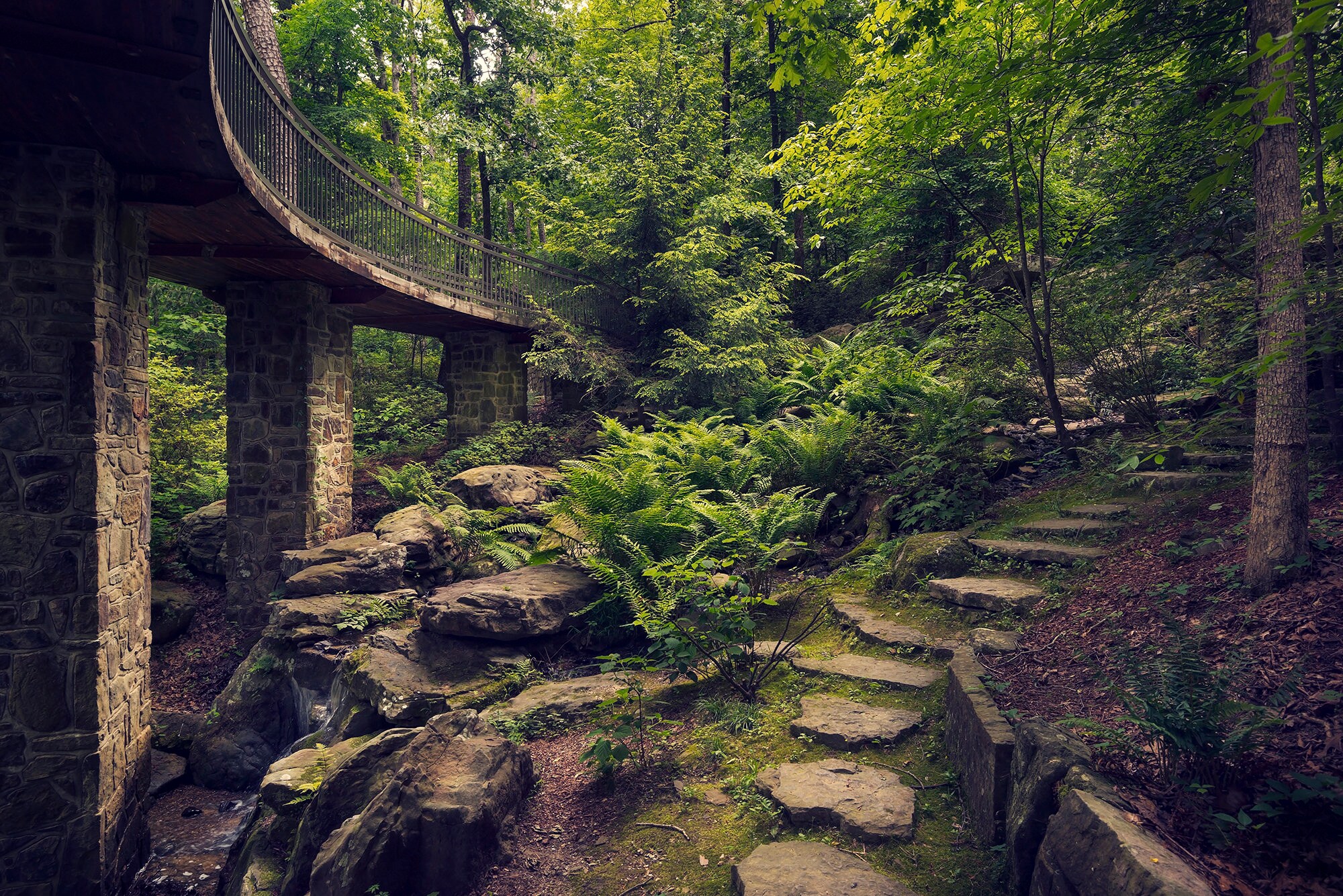 A Bridge and Pathway - Digital Photography - Professional Photo ...