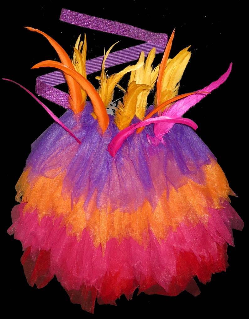 KEVIN Tutu . up to Adult Plus Sizes . Bird . Running Costume . Tail ...