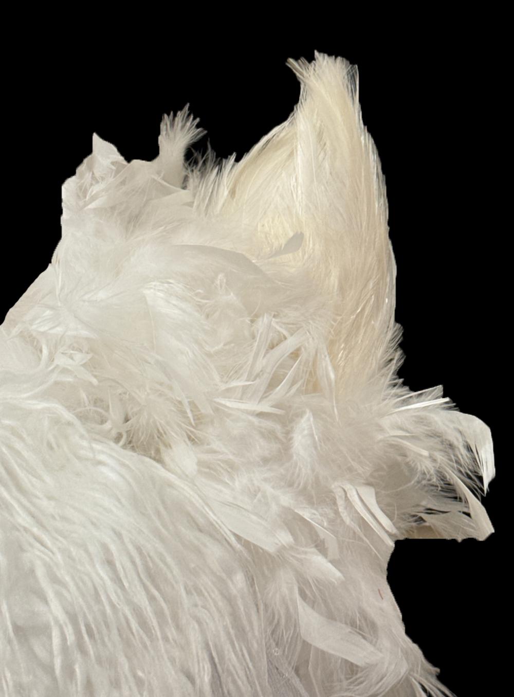 Chicken Puppet Tutu . up to Adult Plus Sizes . White Tutu . Running ...