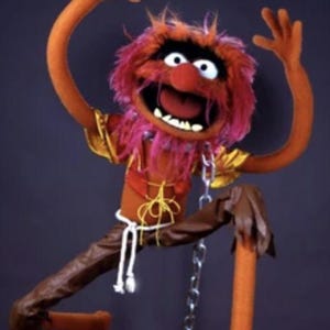 ANIMAL Puppet Tutu . up to Adult Plus Sizes . Running Skirt . Short ...