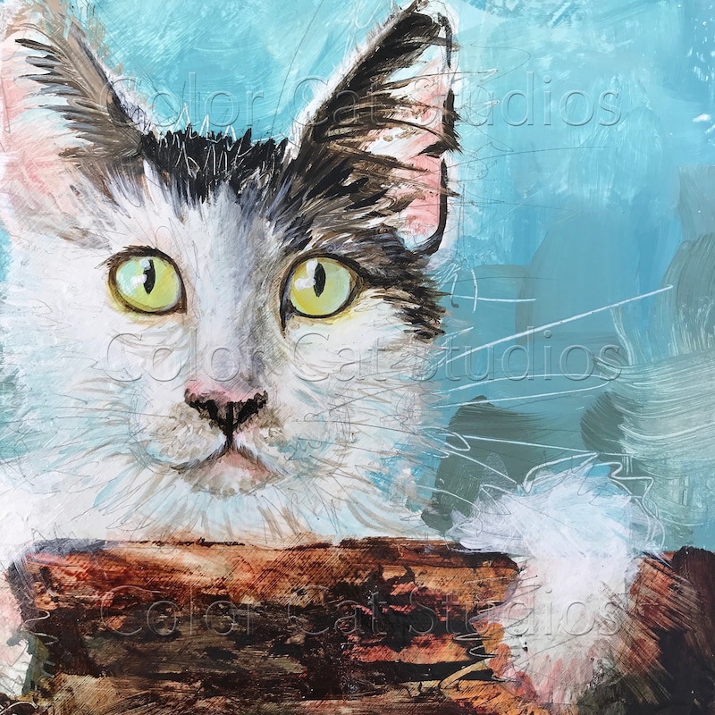 ColorCatStudios101 - Etsy