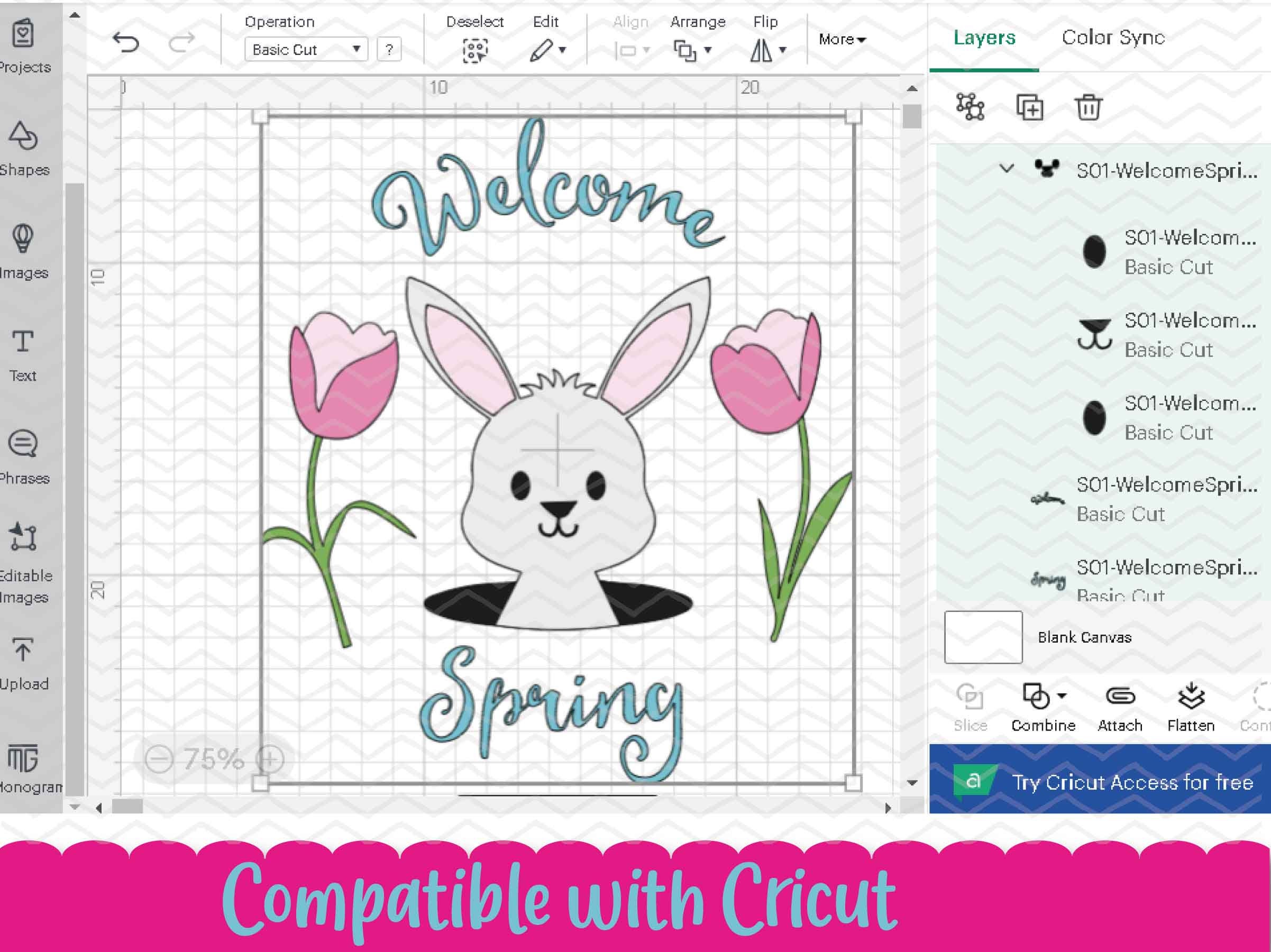 Welcome Spring With Tulips SVG, Cut File, Easter Bunny SVG, SVG Animal ...
