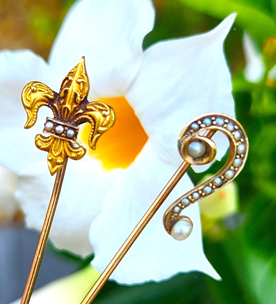 Victorian Stick Pins! Question Mark Fleur de Lis! Buy… - Gem