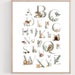 Animal ABC Poster Woodland Alphabet Printable Wall Art Woodland Nursery ...