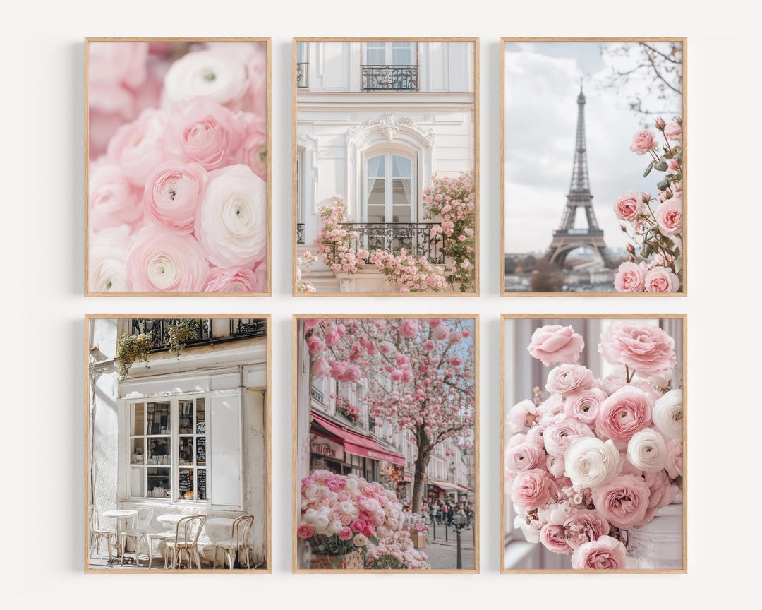Paris Traditional Travel Print, Pink Floral Decor, Eiffel Tower, French ...