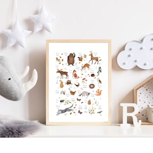 Animal ABC Poster - Woodland Alphabet - Printable Wall Art - Woodland ...