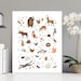 Animal ABC Poster Woodland Alphabet Printable Wall Art Woodland Nursery ...