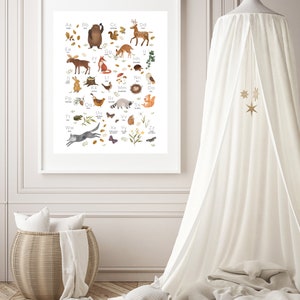 Animal ABC Poster - Woodland Alphabet - Printable Wall Art - Woodland ...