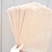 25 BLANK 6x9 Large Kraft Brown Paper Bags, Wedding Favor Bags, Party ...