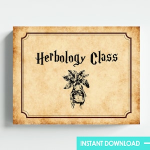 Wizard Theme Mandrake Herbology Class Sign Poster Digital Download 8 ...