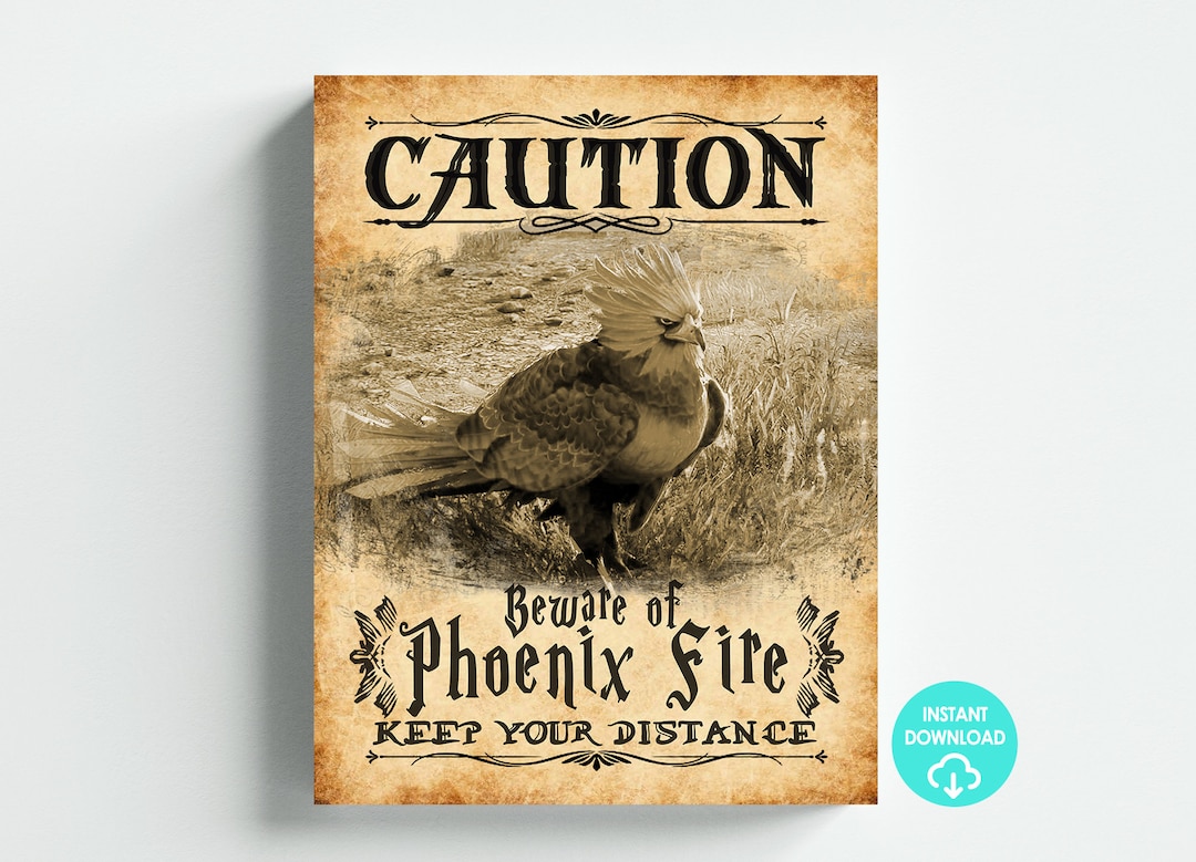 Wizard Theme Phoenix Poster Sign Party Decor Wall Art Digital Download ...
