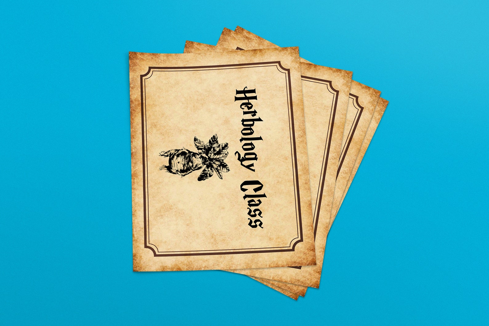 Wizard Theme Mandrake Herbology Class Sign Poster Digital Download 8 ...