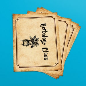 Wizard Theme Mandrake Herbology Class Sign Poster Digital Download 8 ...