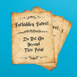 Wizard Theme Forbidden Forest Do Not Go Beyond This Point Sign Digital ...