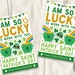 St Patrick's Day Coworker Gift Tags Editable Template, Shamrock Rainbow ...