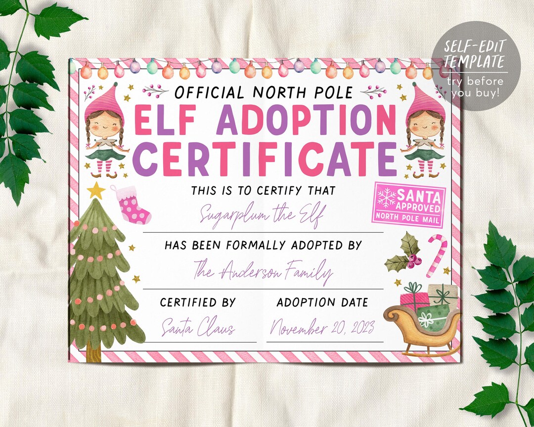 Pink Girl Elf Adoption Certificate Editable Template, Adopt Your Elves ...