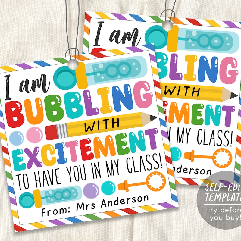 Bubble and 39 Stickers - Etsy