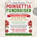 Poinsettia Fundraiser Flyer Editable Template, Christmas Poinsettia ...