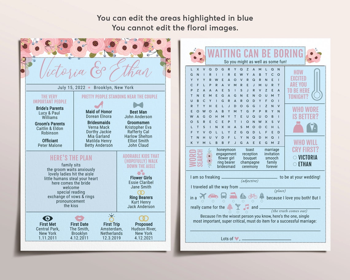 Fun Infographic Wedding Program Template Blush Floral - Etsy