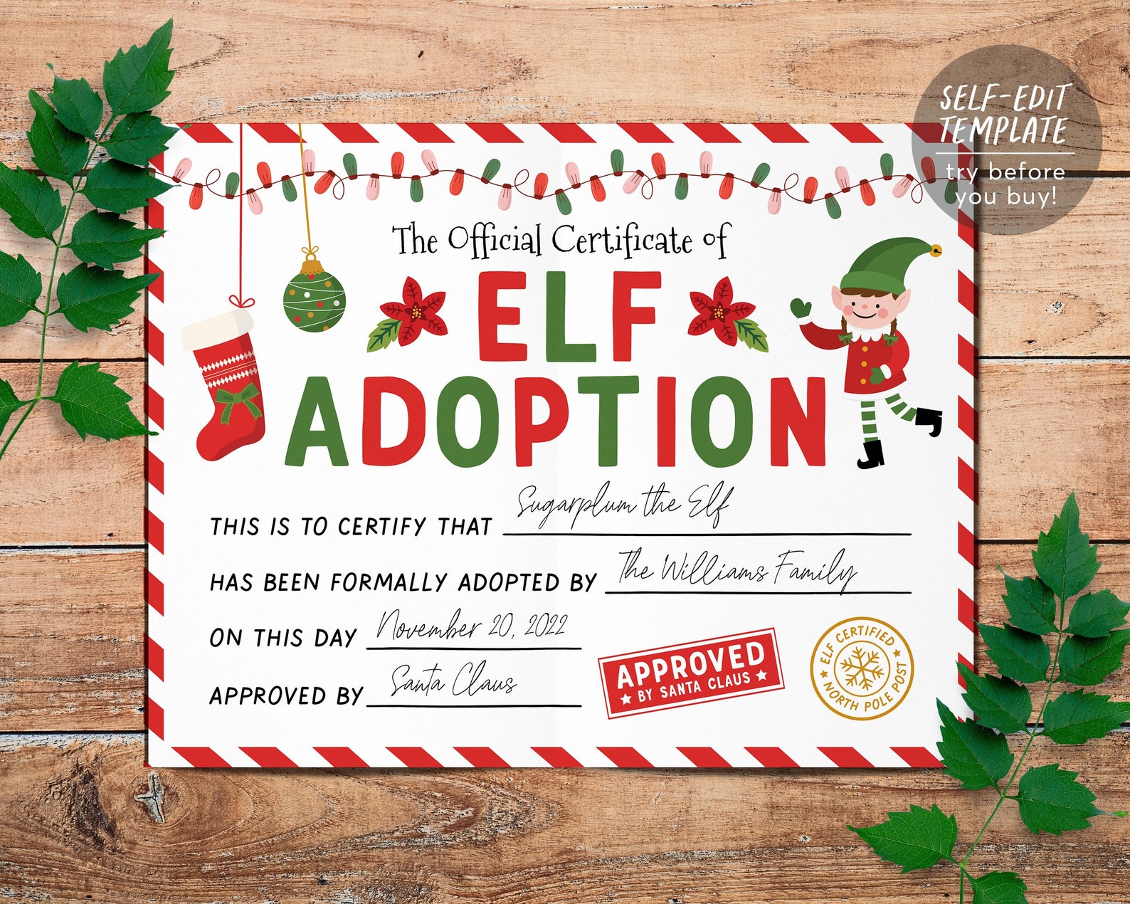 Elf Adoption Certificate Editable Template Adopt Your Elf - Etsy