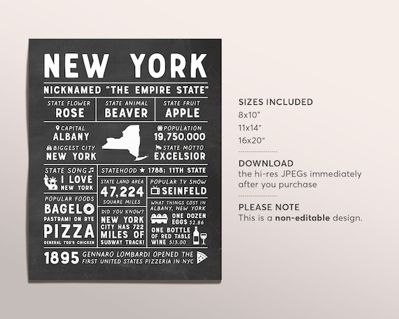Infographic Design New York