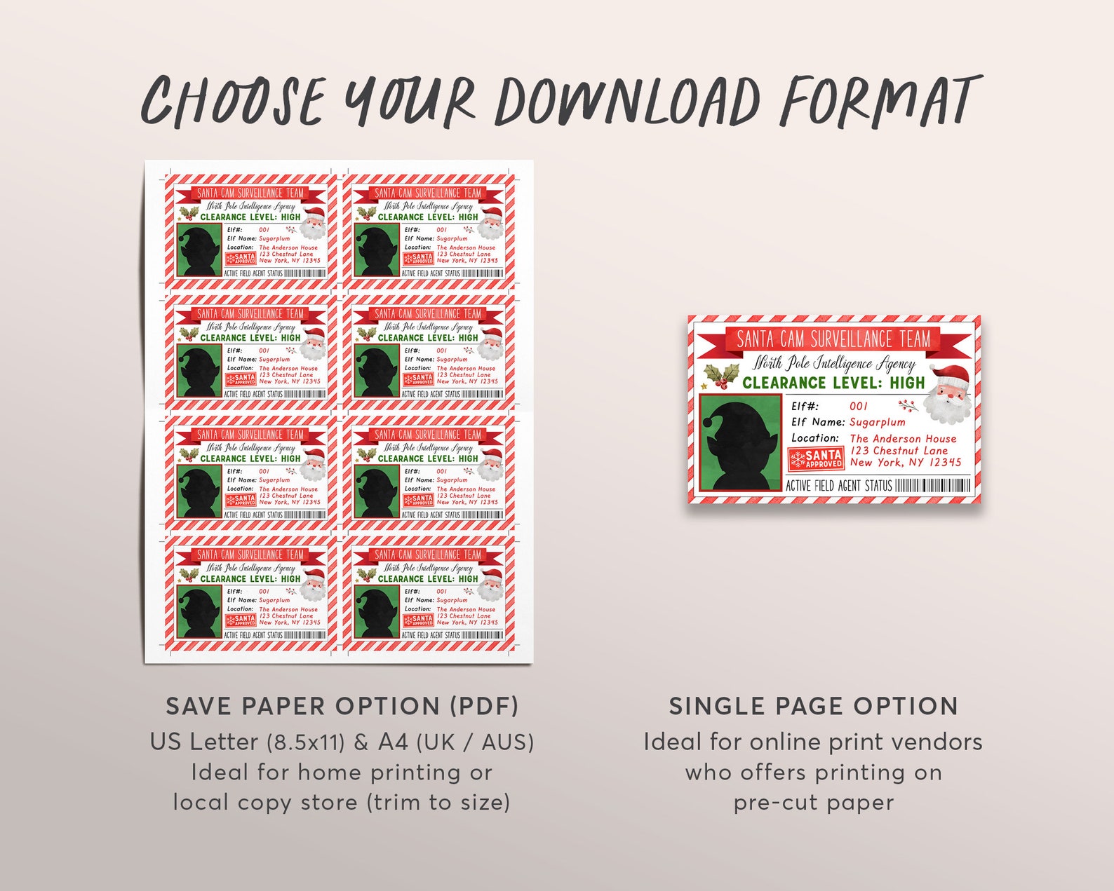Elf ID Card Editable Template, Lost Elf License, Santa Cam Security ...