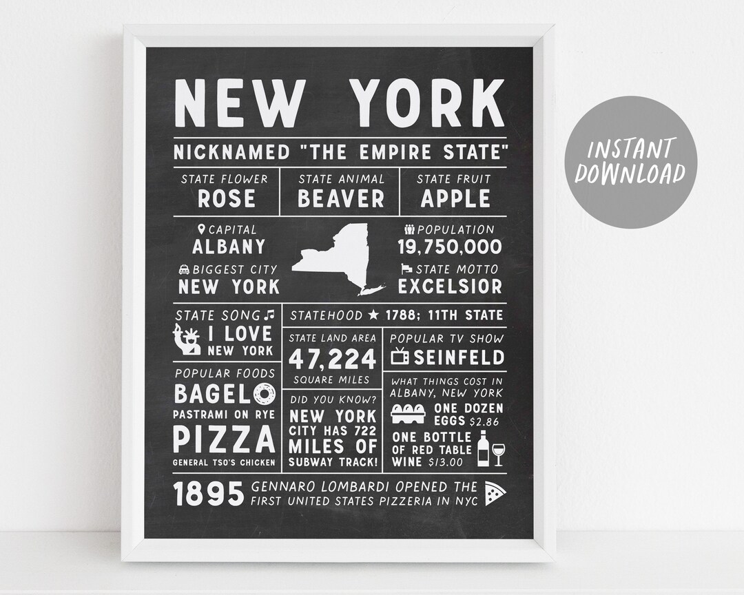 Infografía del póster del letrero de arte mural del estado de Nueva ...