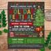 Holiday Festival Christmas Flyer Editable Template, Christmas ...