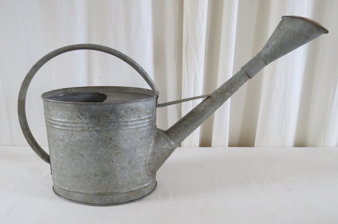 French Galvanised Vintage Garden Watering Can Mid 20th Century ...