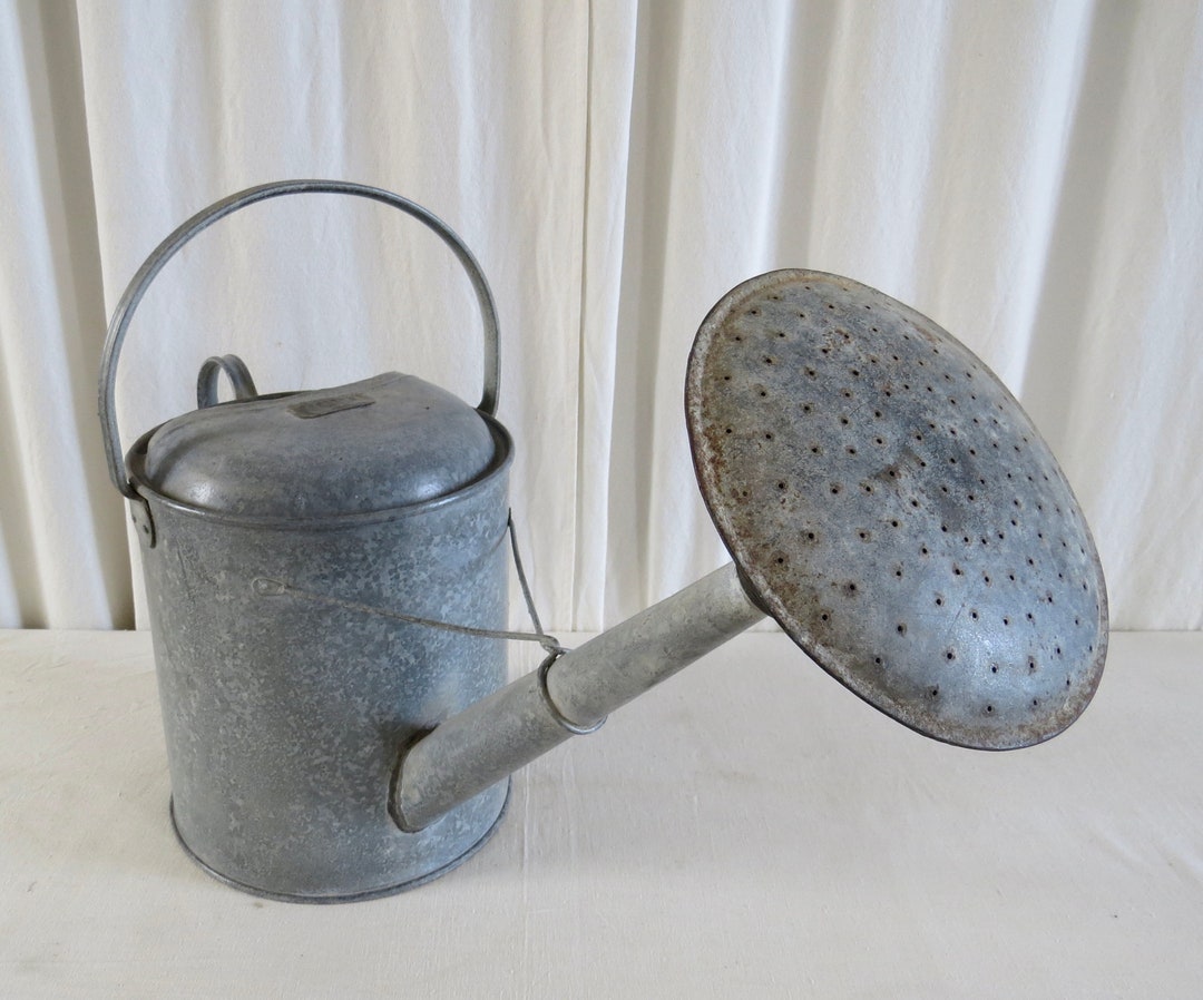 VINTAGE GARDEN Watering Can / English Galvanised, Early 20th Century ...