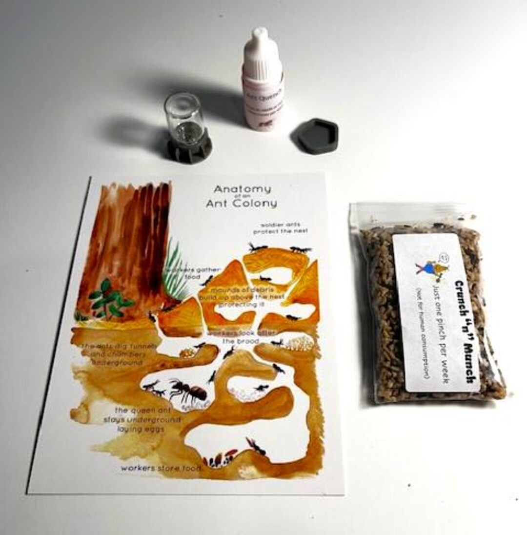 Premium Ant Farm Food Includes Dandelion, Wheat Grass, Flax, and Chia ...